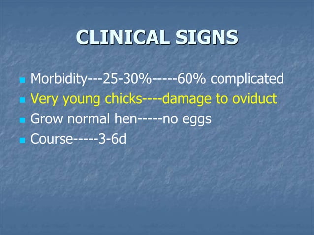 Infectious bronchitis IB, Etiology, Econonimical Impact | PPT