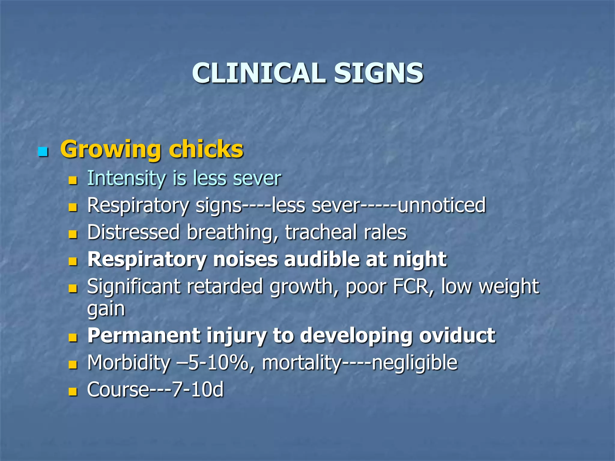 Infectious bronchitis and Infectious Laryngeo tracheitis Disease in ...