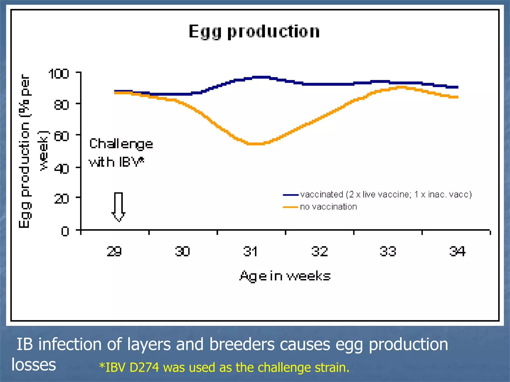 Infectious bronchitis and Infectious Laryngeo tracheitis Disease in ...