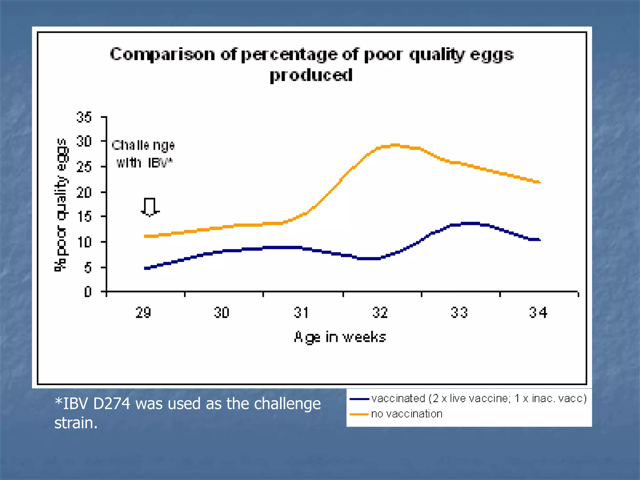 Infectious bronchitis and Infectious Laryngeo tracheitis Disease in ...
