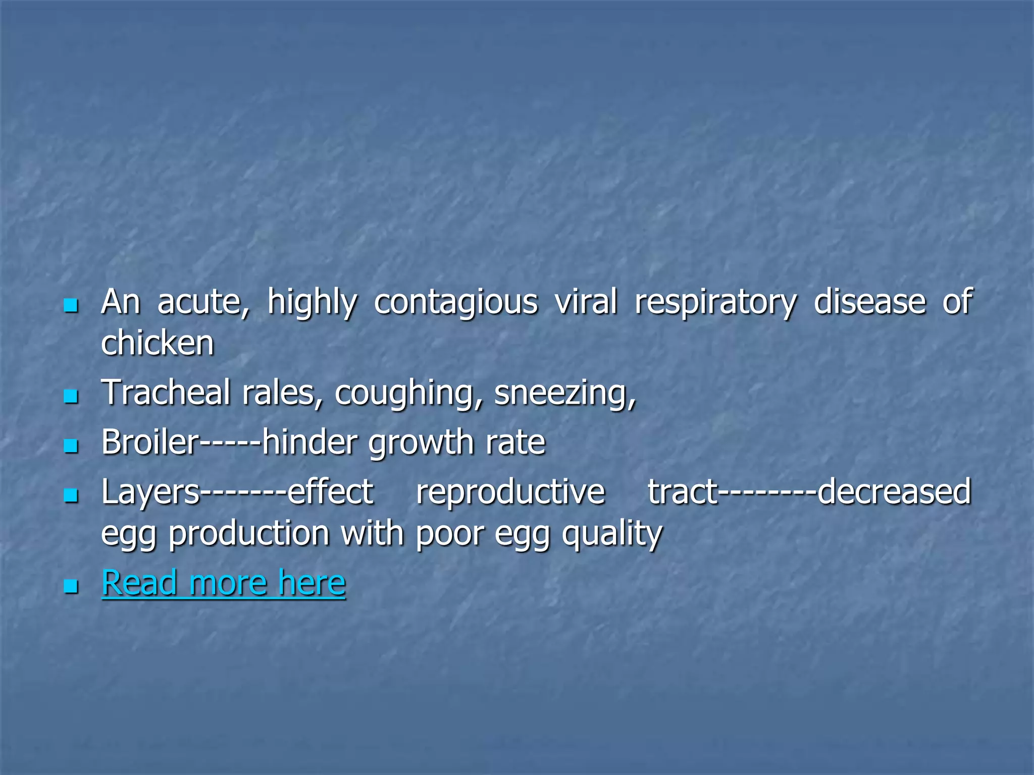 Infectious bronchitis and Infectious Laryngeo tracheitis Disease in ...
