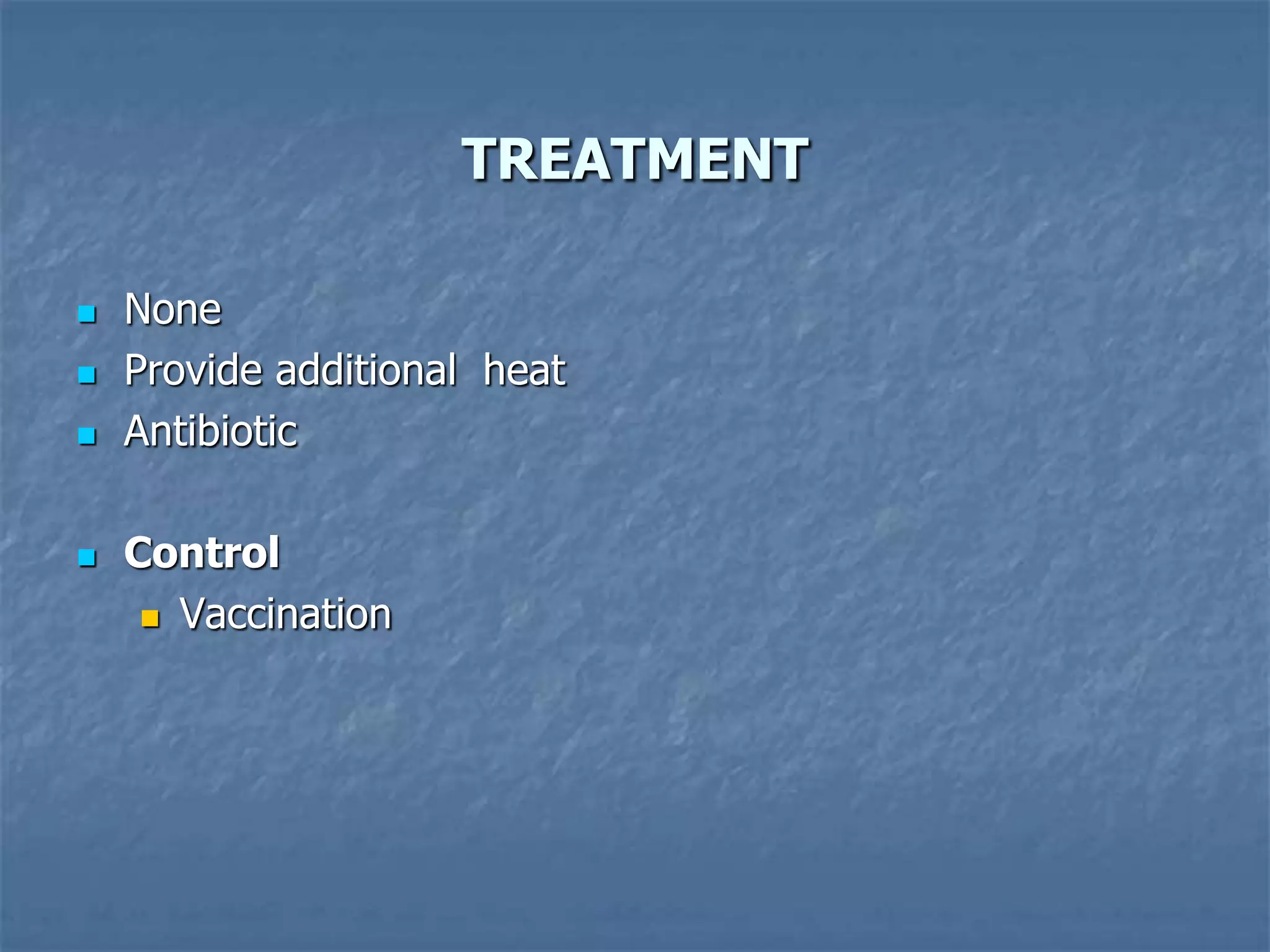 Infectious bronchitis and Infectious Laryngeo tracheitis Disease in ...