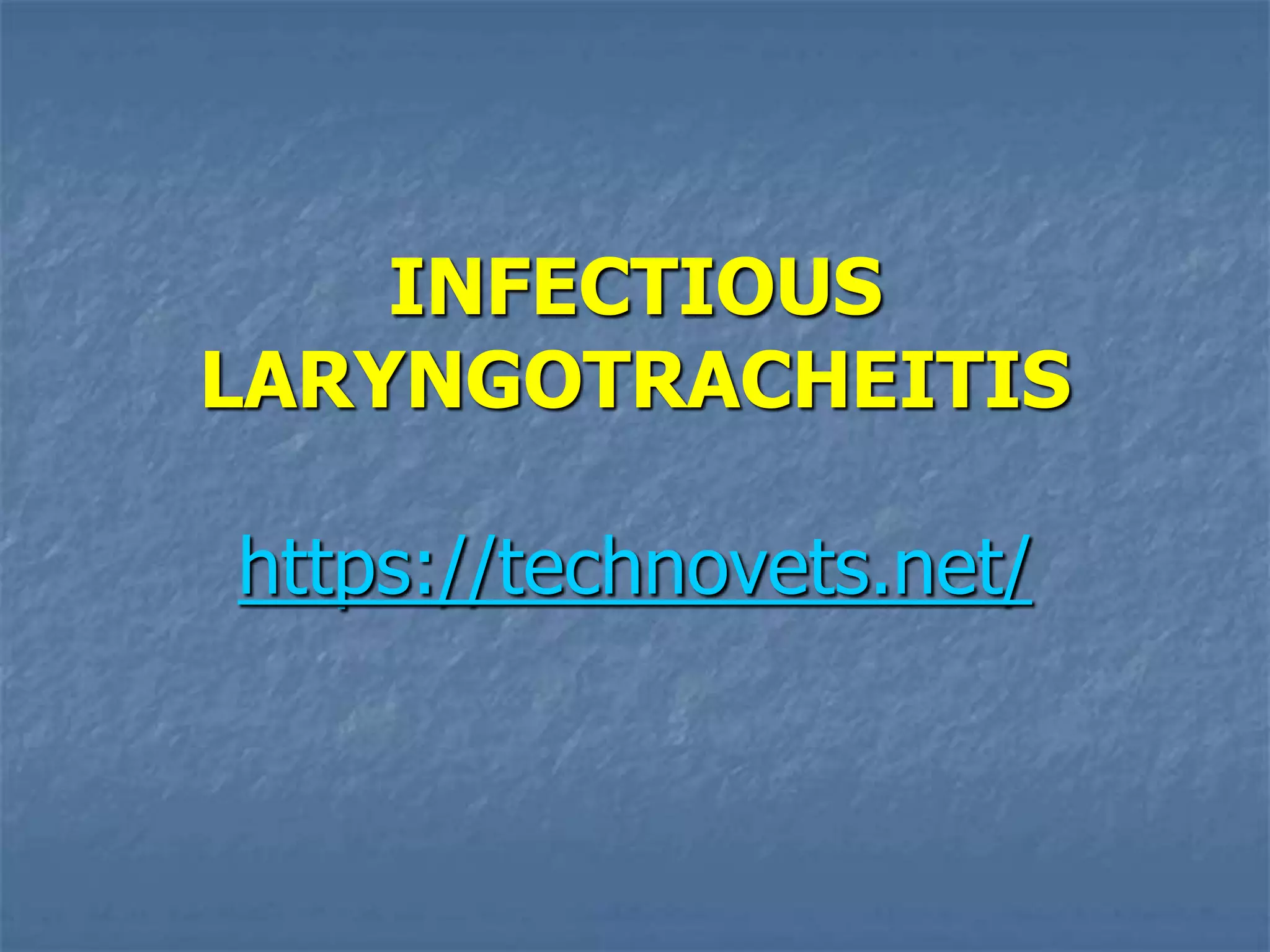 Infectious bronchitis and Infectious Laryngeo tracheitis Disease in ...