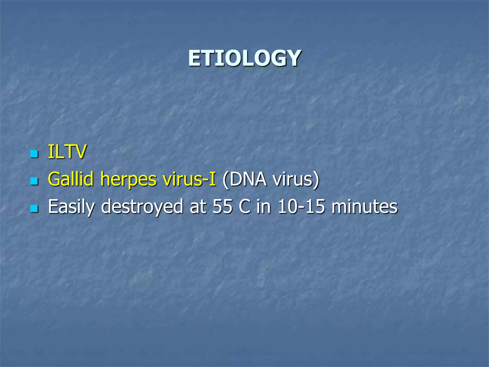 Infectious bronchitis and Infectious Laryngeo tracheitis Disease in ...