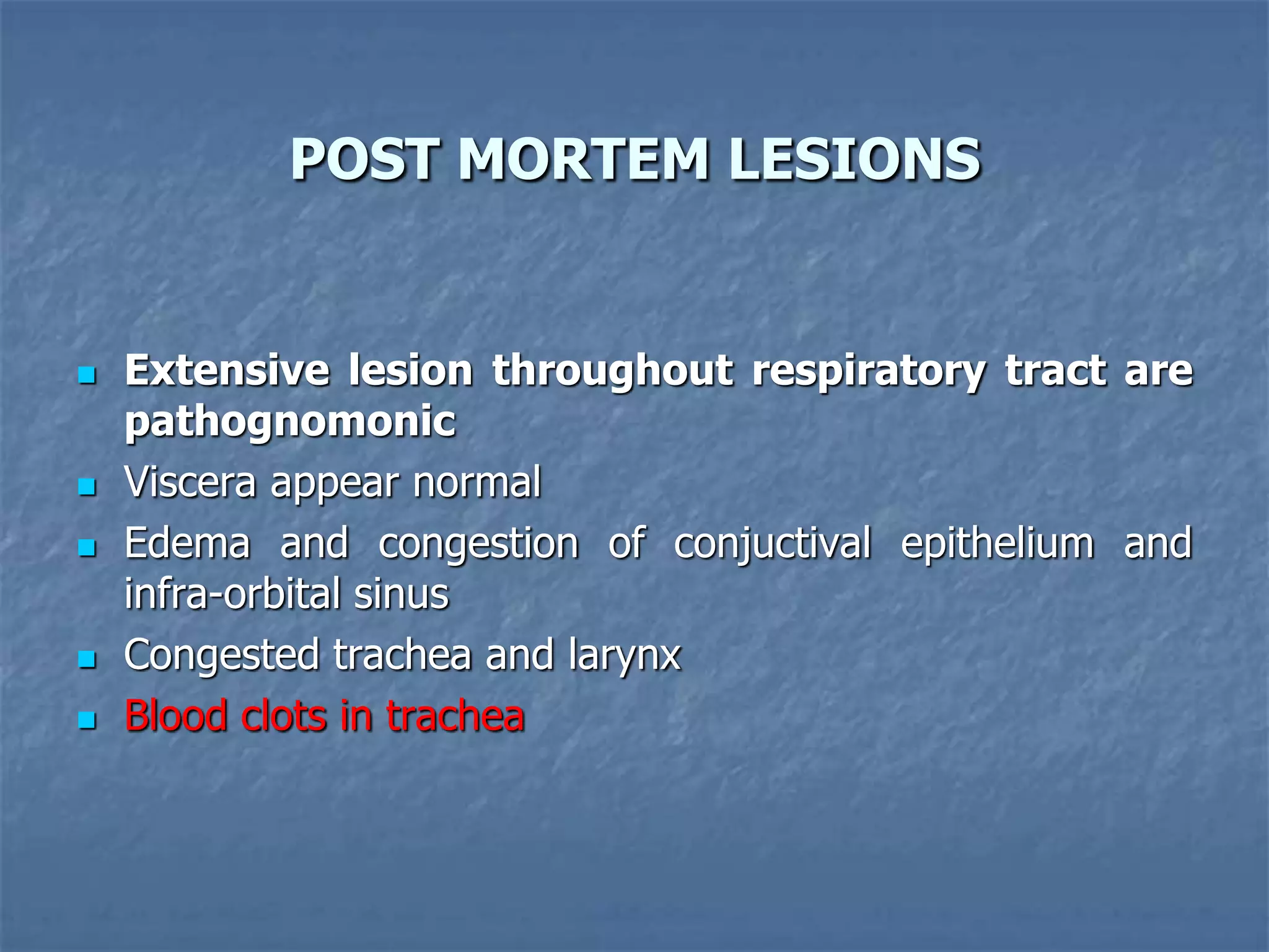 Infectious bronchitis and Infectious Laryngeo tracheitis Disease in ...