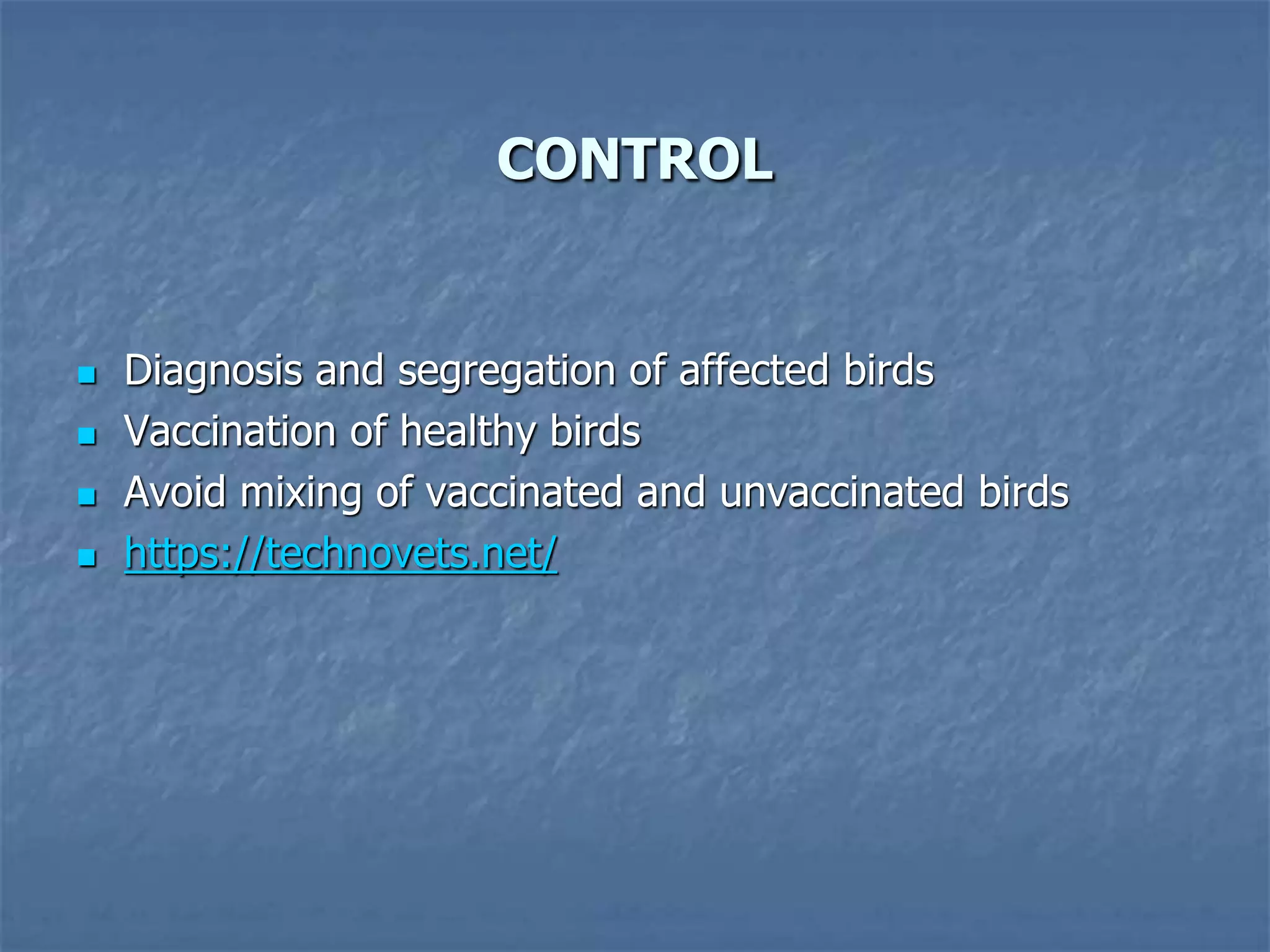 Infectious bronchitis and Infectious Laryngeo tracheitis Disease in ...