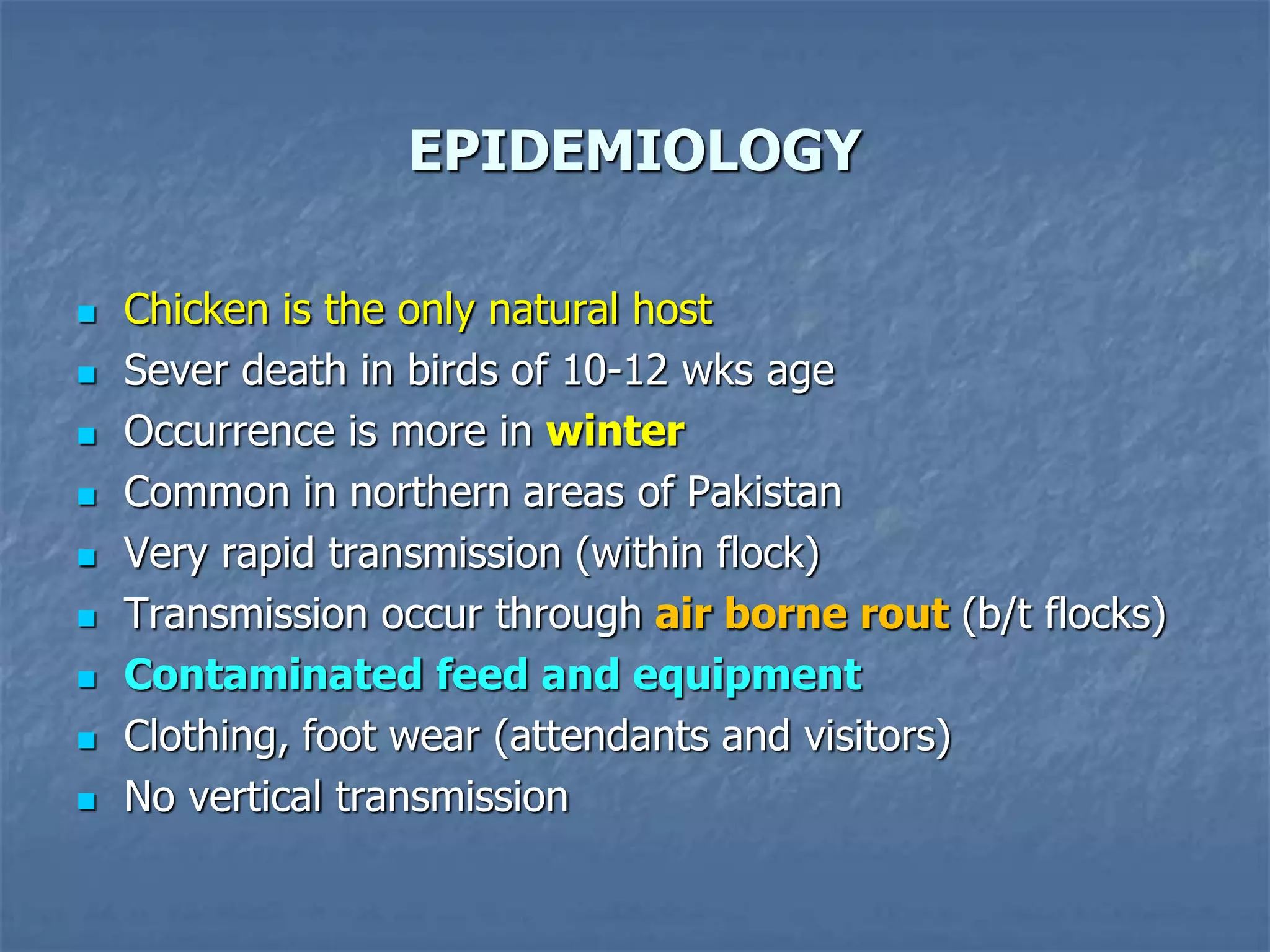 Infectious bronchitis and Infectious Laryngeo tracheitis Disease in ...