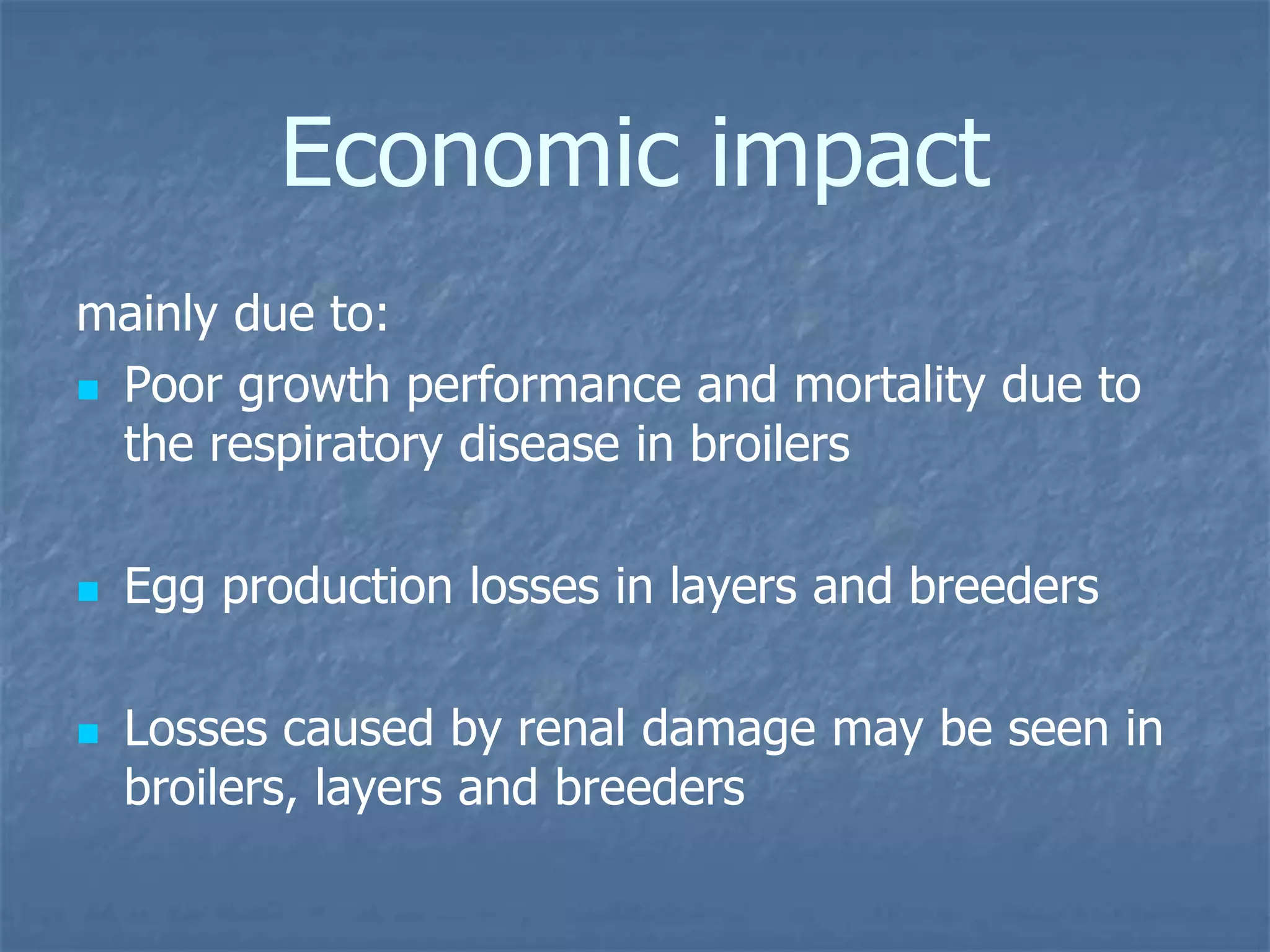 Infectious bronchitis and Infectious Laryngeo tracheitis Disease in ...