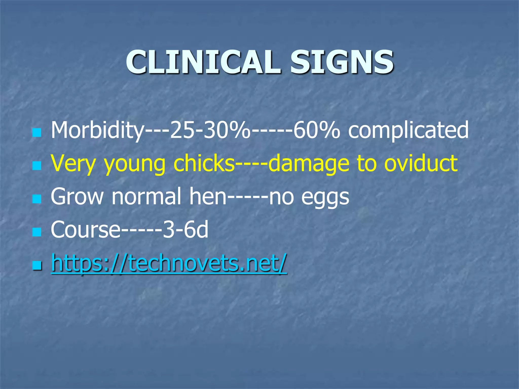 Infectious bronchitis and Infectious Laryngeo tracheitis Disease in ...