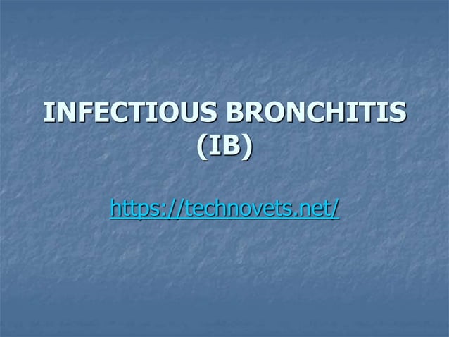 Infectious bronchitis and Infectious Laryngeo tracheitis Disease in ...