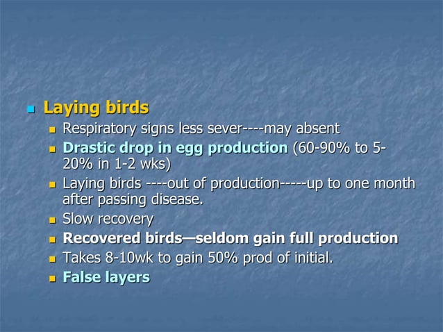Infectious bronchitis and Infectious Laryngeo tracheitis Disease in ...