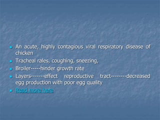 Infectious bronchitis and Infectious Laryngeo tracheitis Disease in ...
