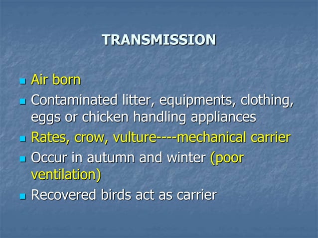 Infectious bronchitis and Infectious Laryngeo tracheitis Disease in ...