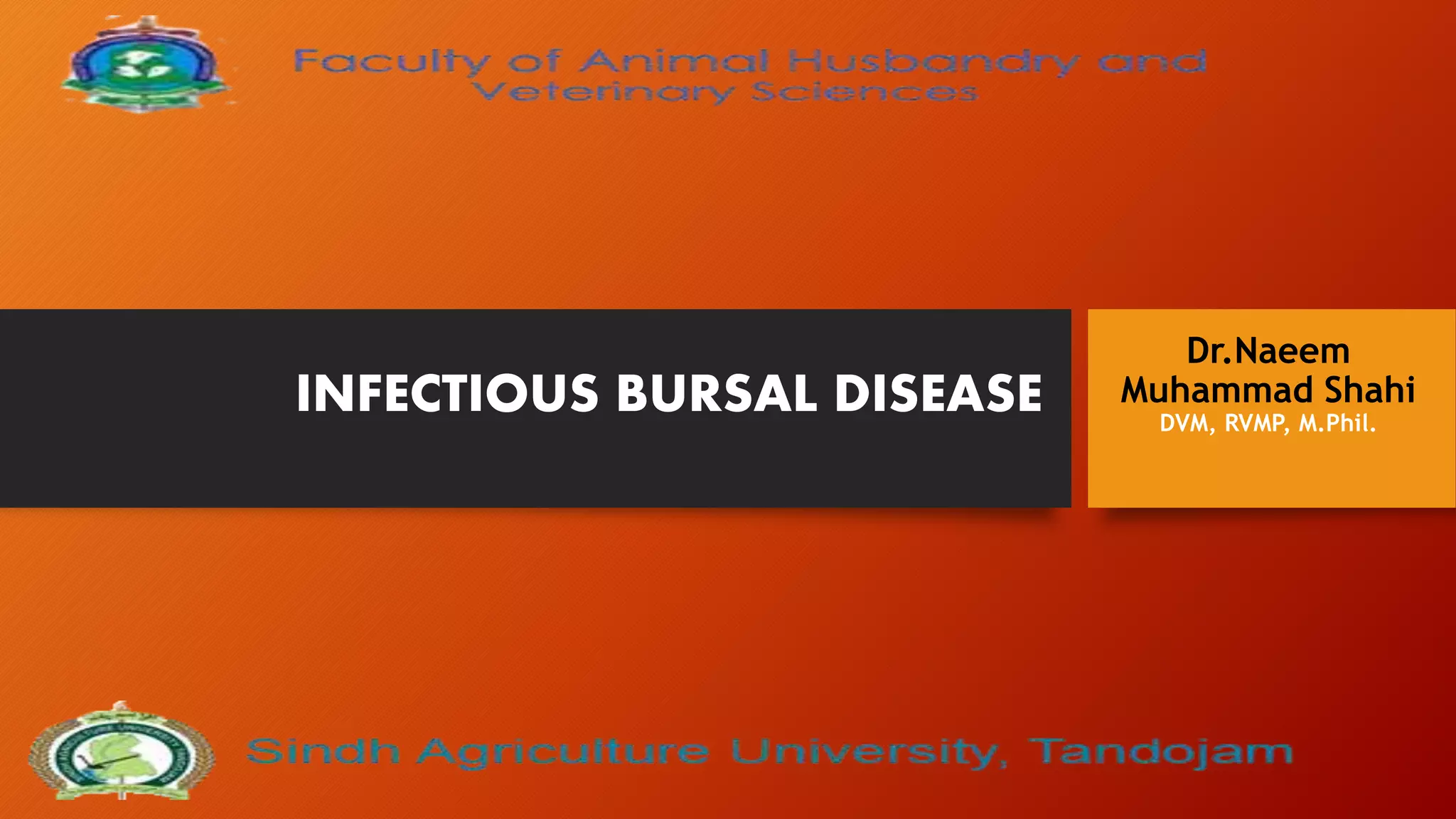 Infectious Bursal Disease -Gamboro - IBD Complete Lecture | PPTX
