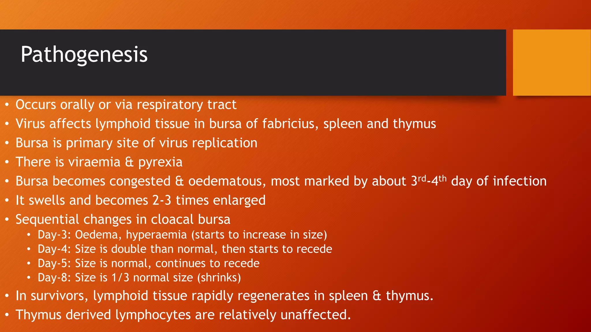 Infectious Bursal Disease -Gamboro - IBD Complete Lecture | PPTX