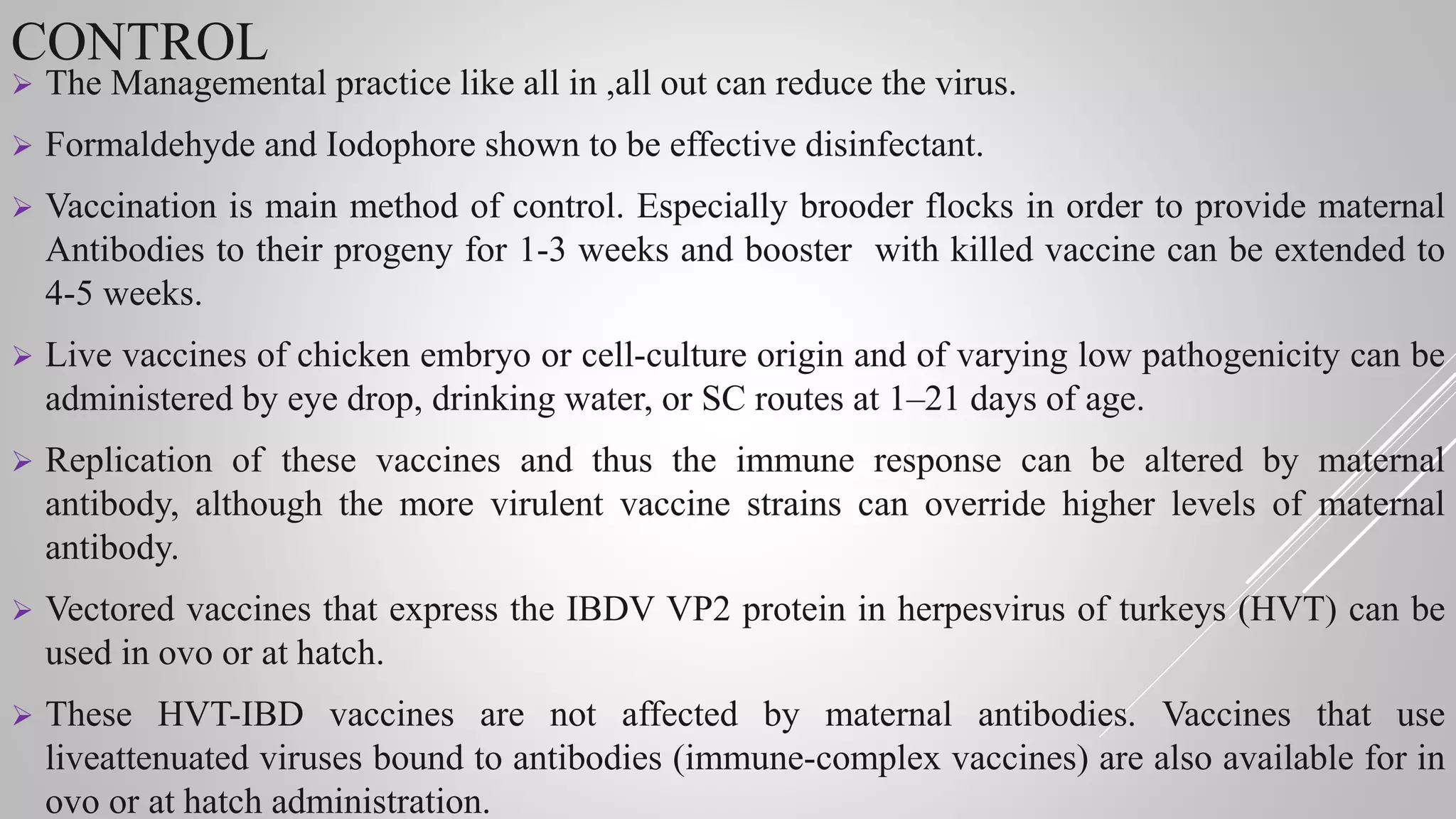 Infectious bursal disease | PPT