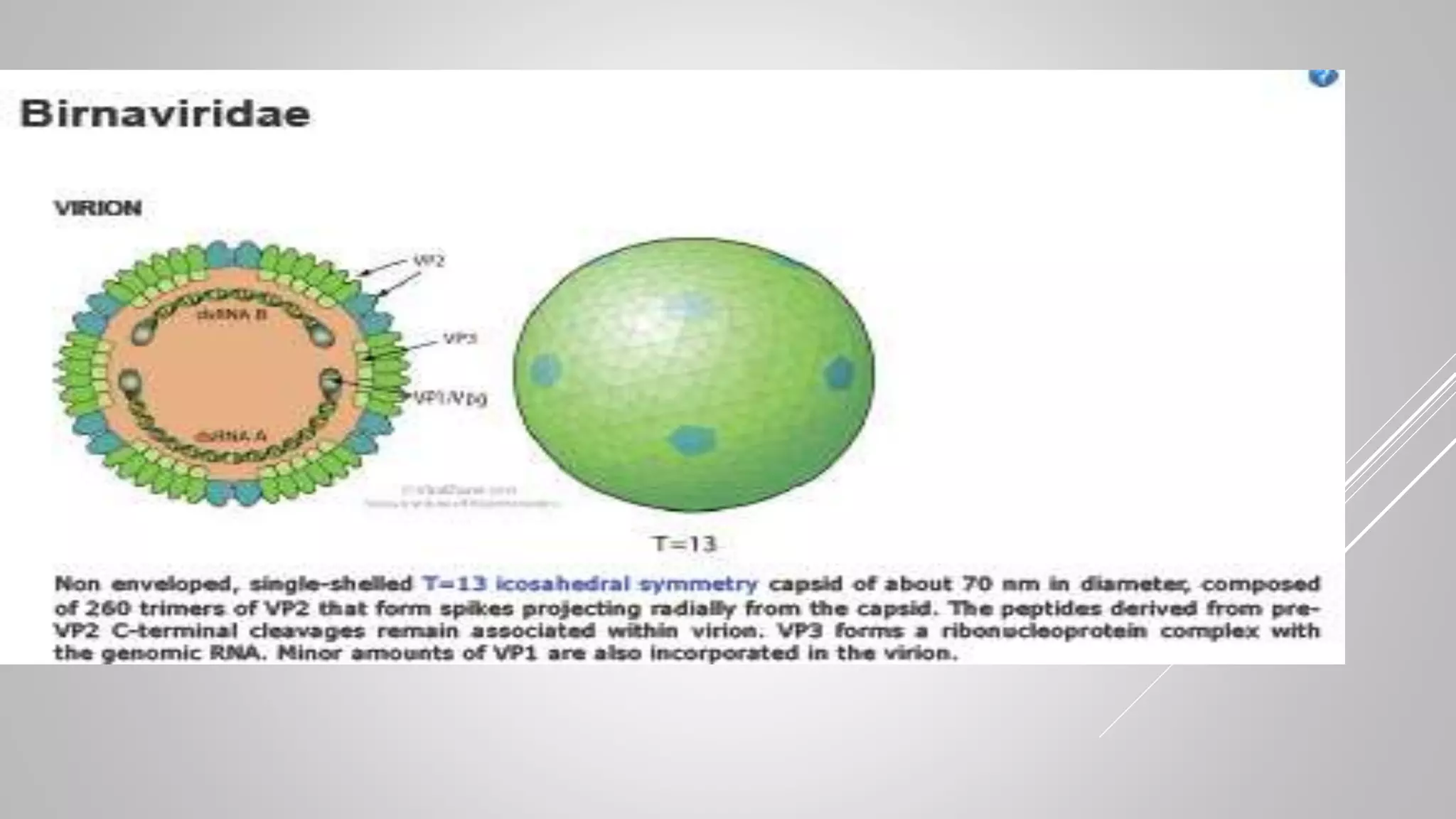 Infectious bursal disease | PPT