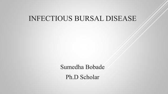 Infectious bursal disease | PPT