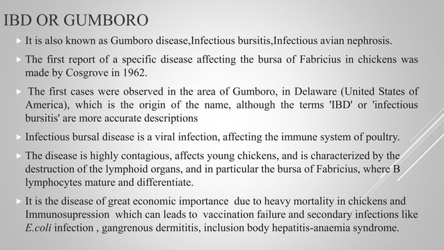 Infectious bursal disease | PPT