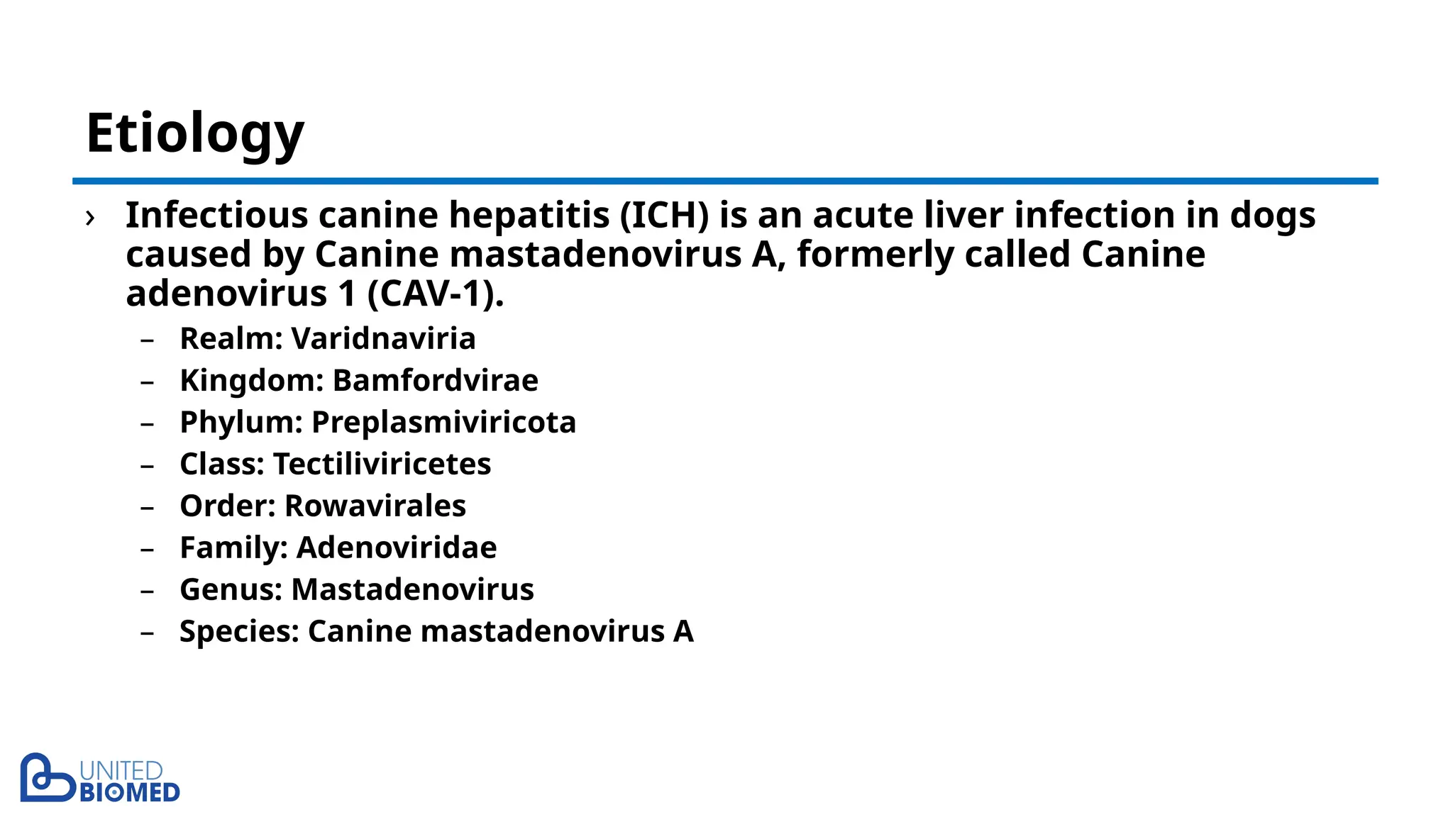 Infectious Canine Hepatitis Virus - CAV-1 | PPTX