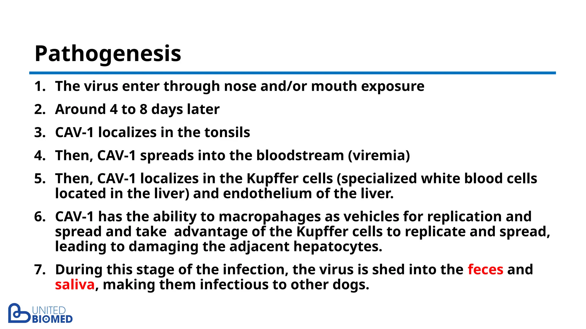 Infectious Canine Hepatitis Virus - CAV-1 | PPTX