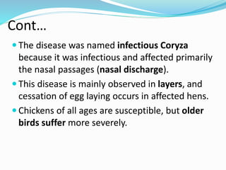 Infectious choryza | PPTX