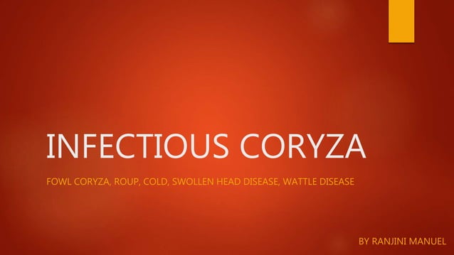Infectious coryza/ fowl coryza | PPTX