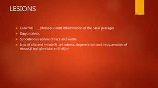 Infectious coryza/ fowl coryza | PPTX