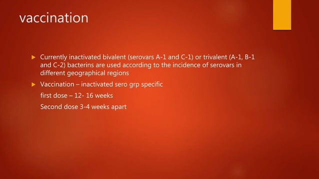 Infectious coryza/ fowl coryza | PPTX