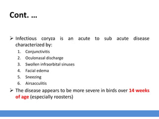 Infectious Coryza_The Disease | PPT