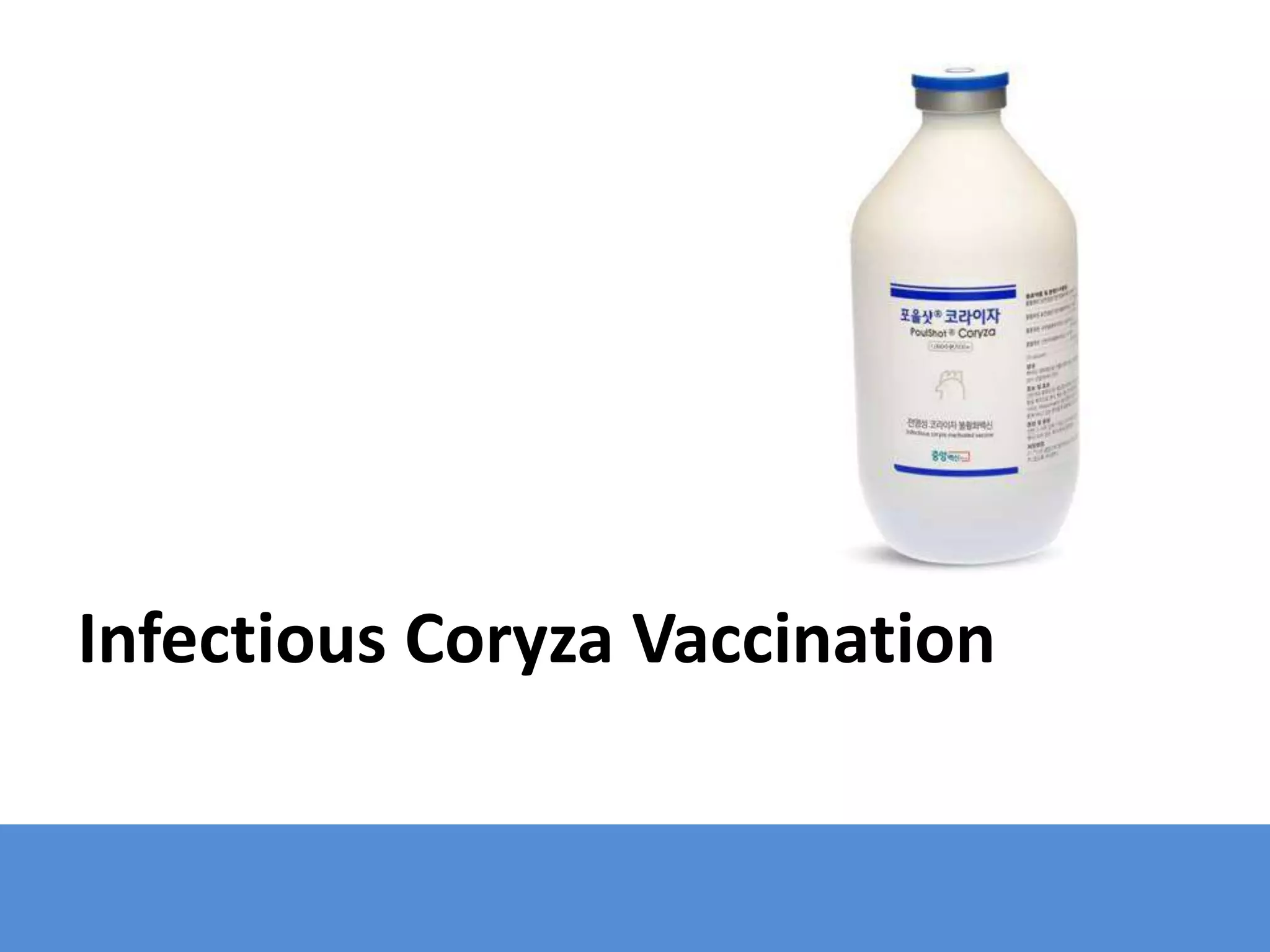 Infectious_coryza_vaccination | PPTX