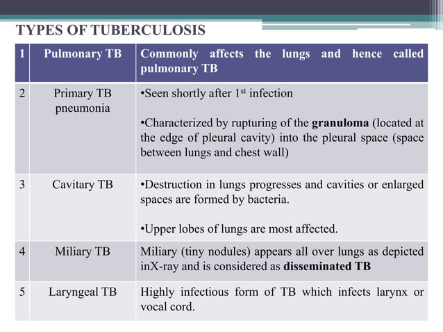 MENINGITIS, TB, TYPHOID, LEPROSY | PPTX