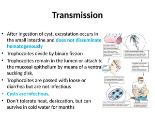 infectious disease(ameobiasis, giardiasis, leishmaniasis ...