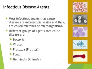 Infectious disease | PPT