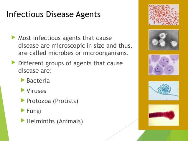 Infectious disease