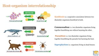 Infectious Disease by Gopal Khodve.pptx