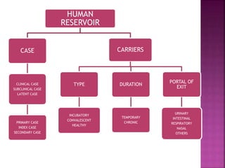 INFECTIOUS DISEASE EPIDEMIOLOGY.pptx