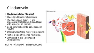 Infectious disease flash cards by me | PPTX