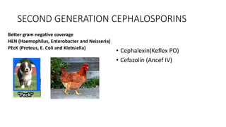 Infectious disease flash cards by me | PPTX