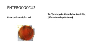 Infectious disease flash cards by me | PPTX