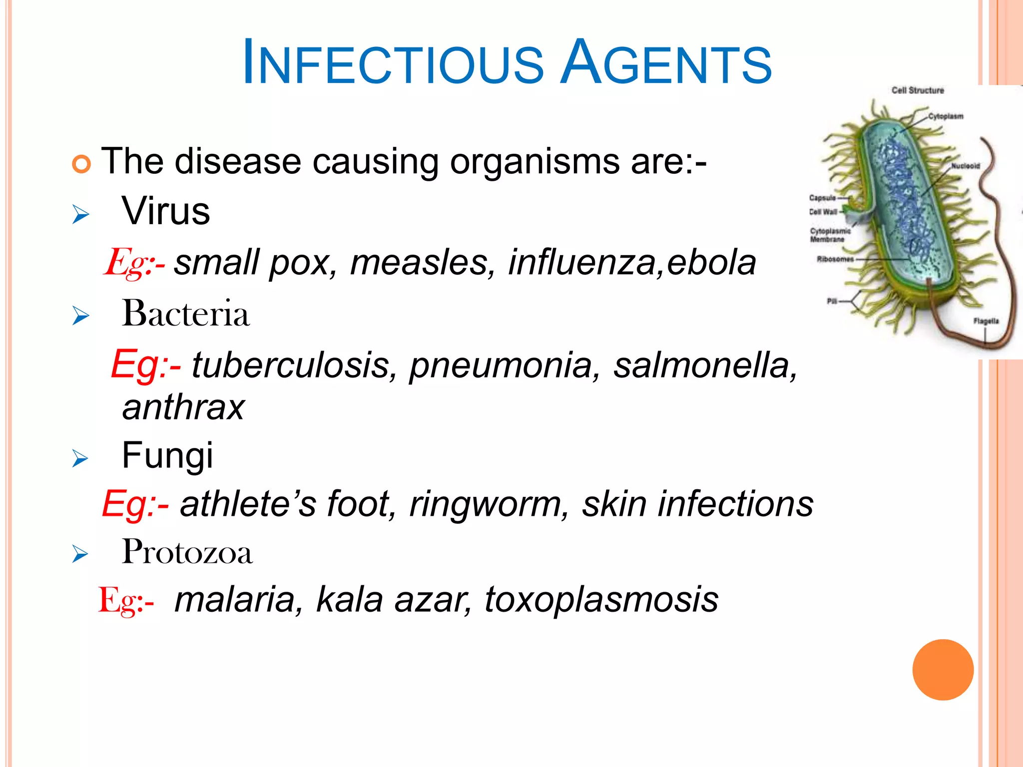 Infectious Diseases | PPTX