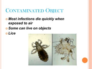 Infectious Diseases | PPTX