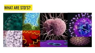 HIV HEP C STD and Infectious Disease Training | PDF