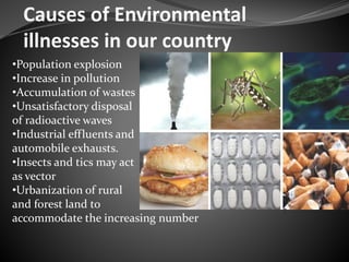 Diseases because of Environment | PPTX | Infectious Diseases | Diseases ...