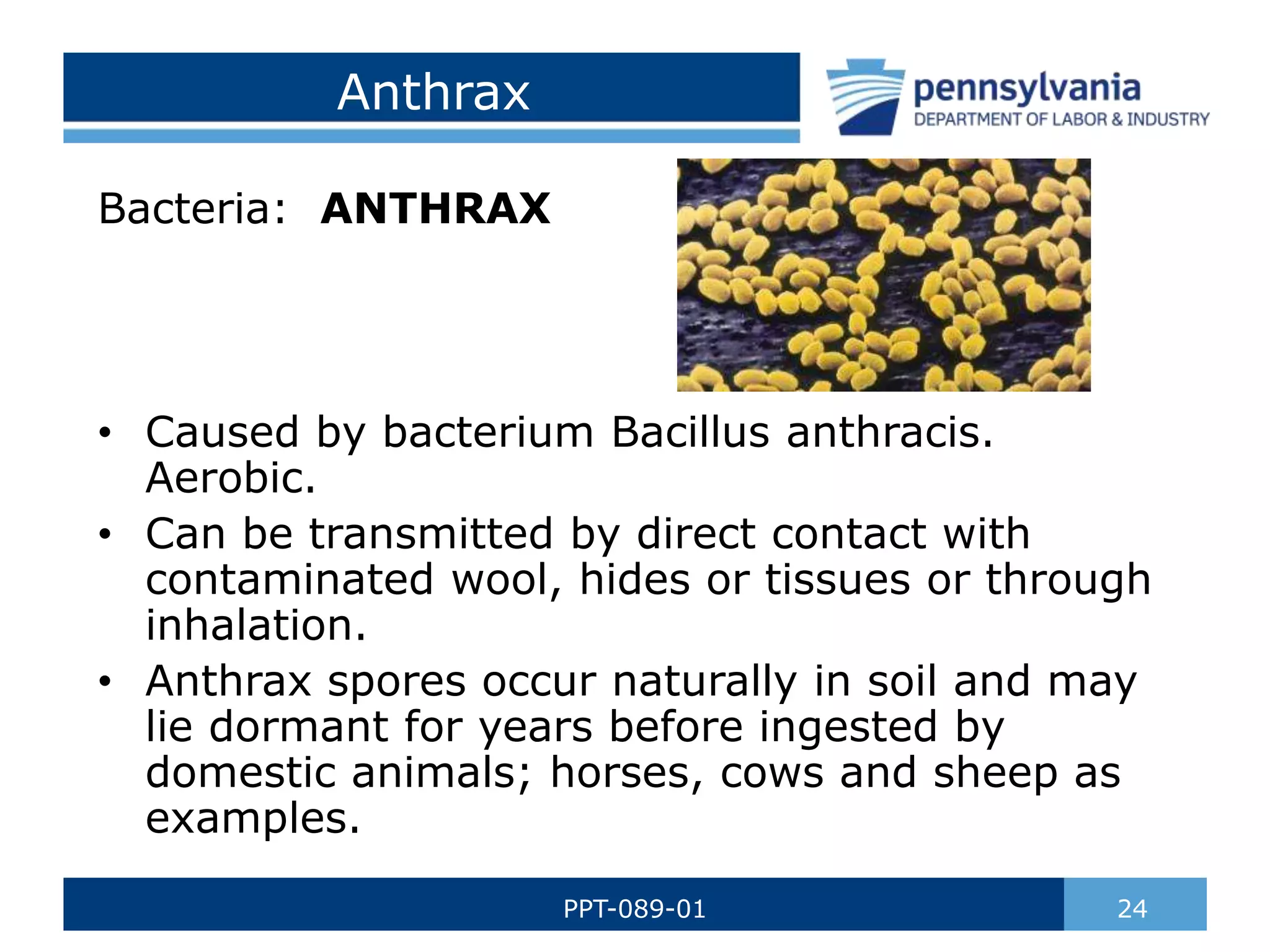 Infectious Diseases.pptx | Infectious Diseases | Diseases and Conditions
