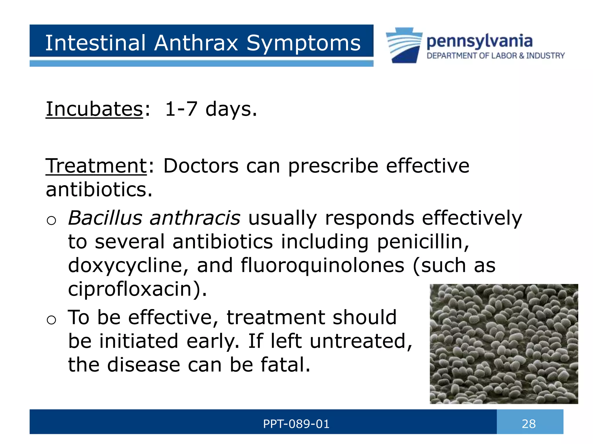 Infectious Diseases.pptx | Infectious Diseases | Diseases and Conditions