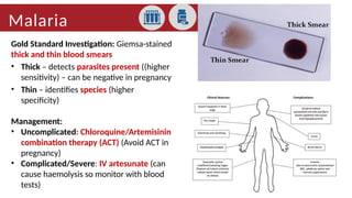 Infectious Diseases in medical field.pptx