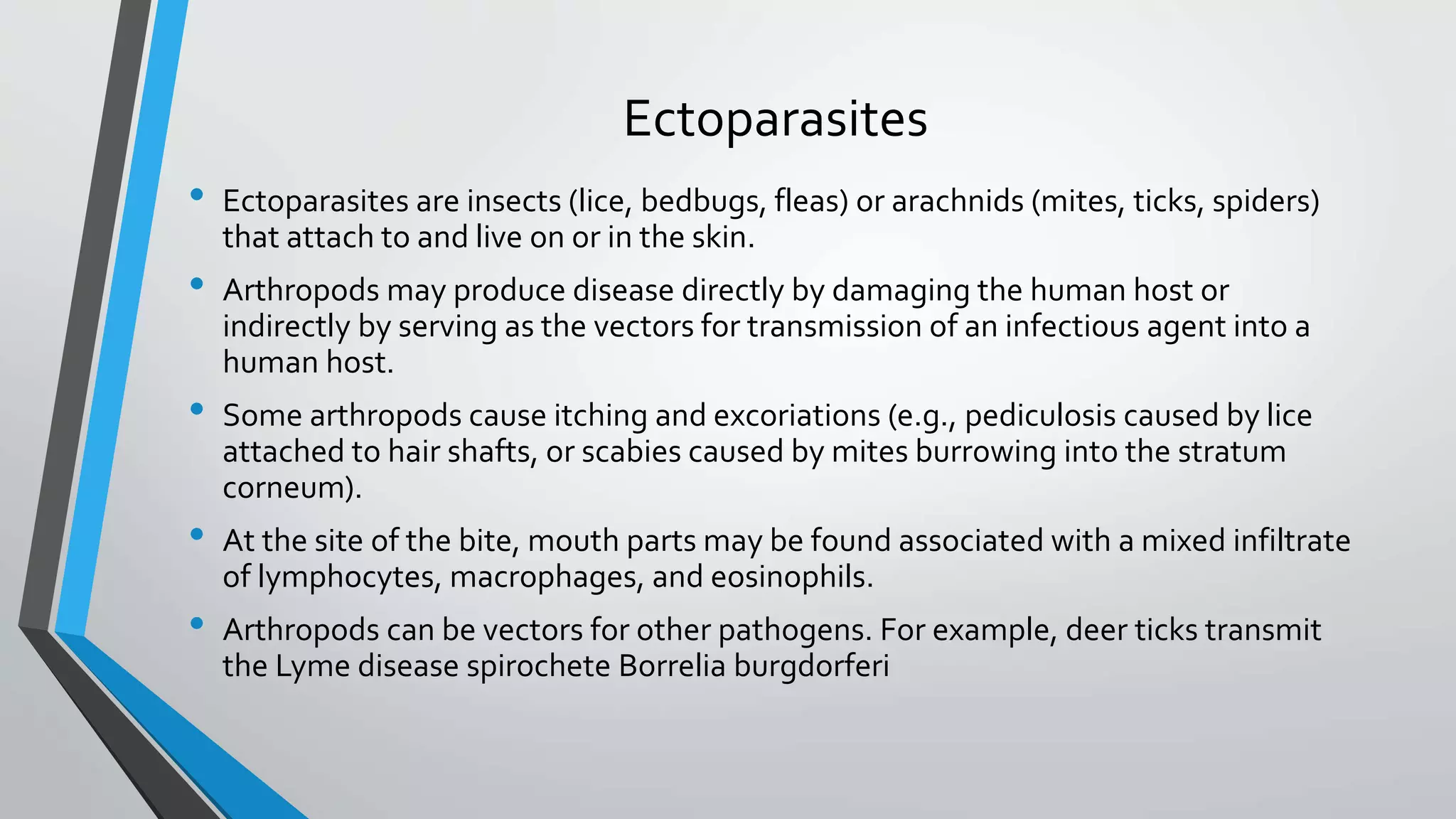 Infectious diseases: an introduction | PPTX