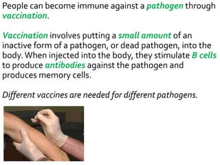 BTEC 4C: Infectious diseases and vaccines | PPT