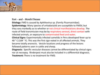 Infectious diseases of camelids | PPT